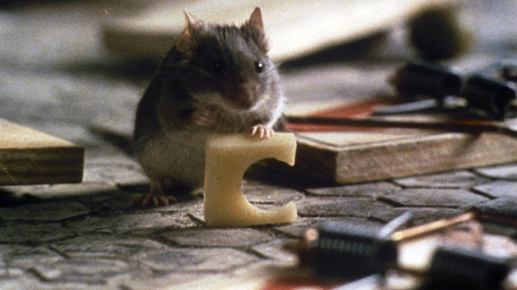 Mousehunt (1997) - About the Movie | Amblin