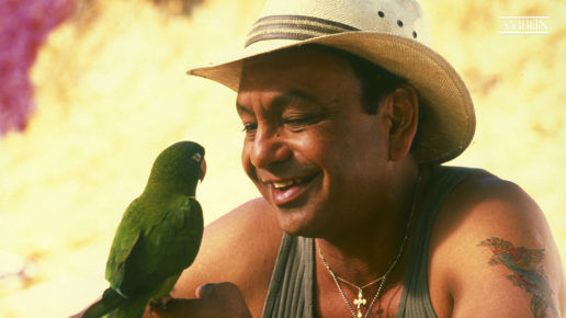 Paulie (1998) - About the Movie | Amblin