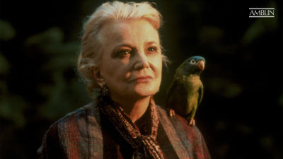 Paulie (1998) - About the Movie | Amblin