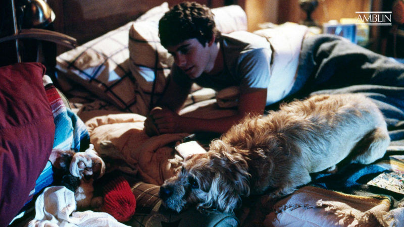 Gremlins (1984) - About the Movie | Amblin