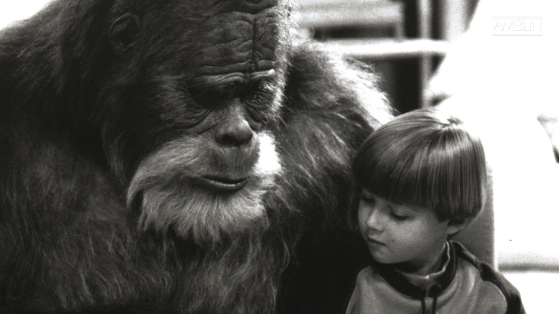 Harry and the Hendersons - About the Show | Amblin