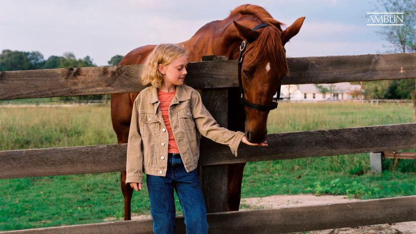 Dreamer: Inspired by a True Story (2005) - About the Movie | Amblin